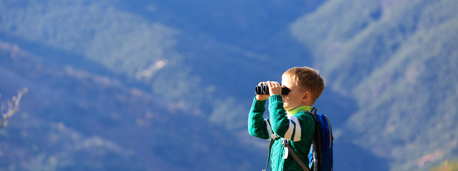 The Wild Watch | Cause UK | Media Experts | Award Winning